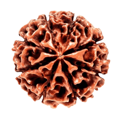 Rashi by Name Calculator | Find Your Moon Sign Instantly | Viranchi