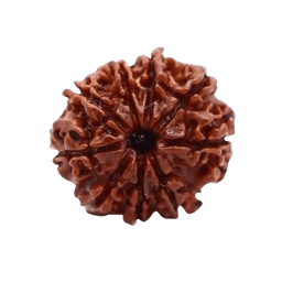 Rashi by Name Calculator | Find Your Moon Sign Instantly | Viranchi