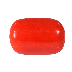 Rashi by Name Calculator | Find Your Moon Sign Instantly | Viranchi